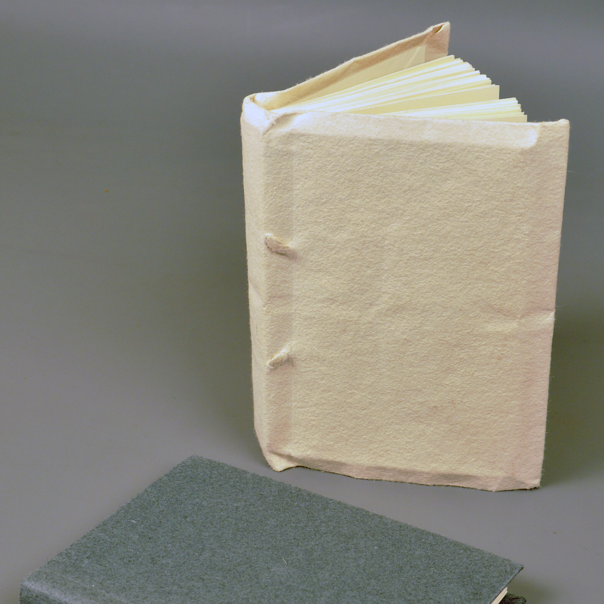 Workshops - Big River Bindery