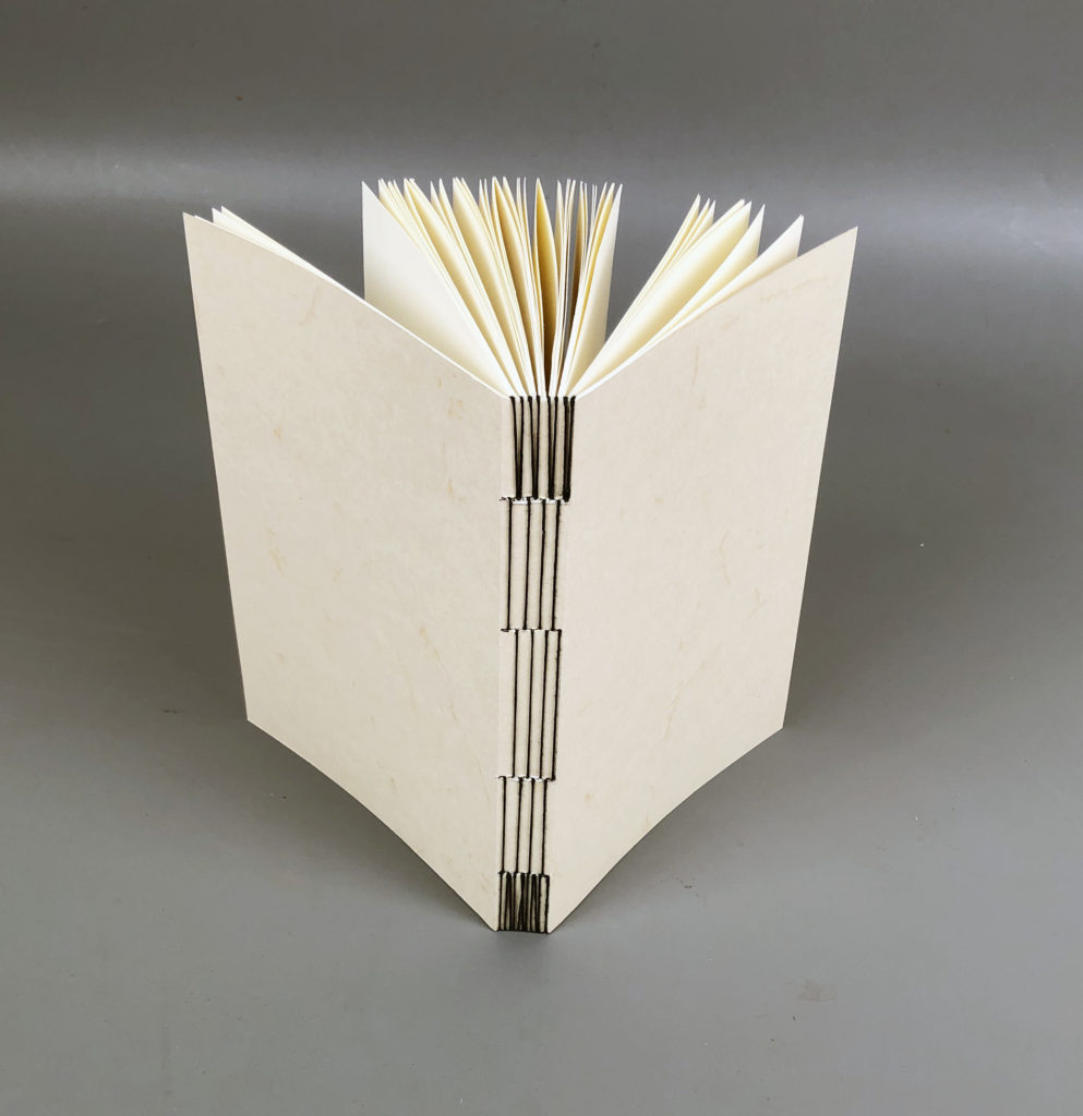 Online Workshop: Long and Link Stitch Books - Big River Bindery